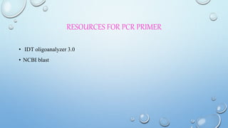 Pcr & primer designing | PPTX