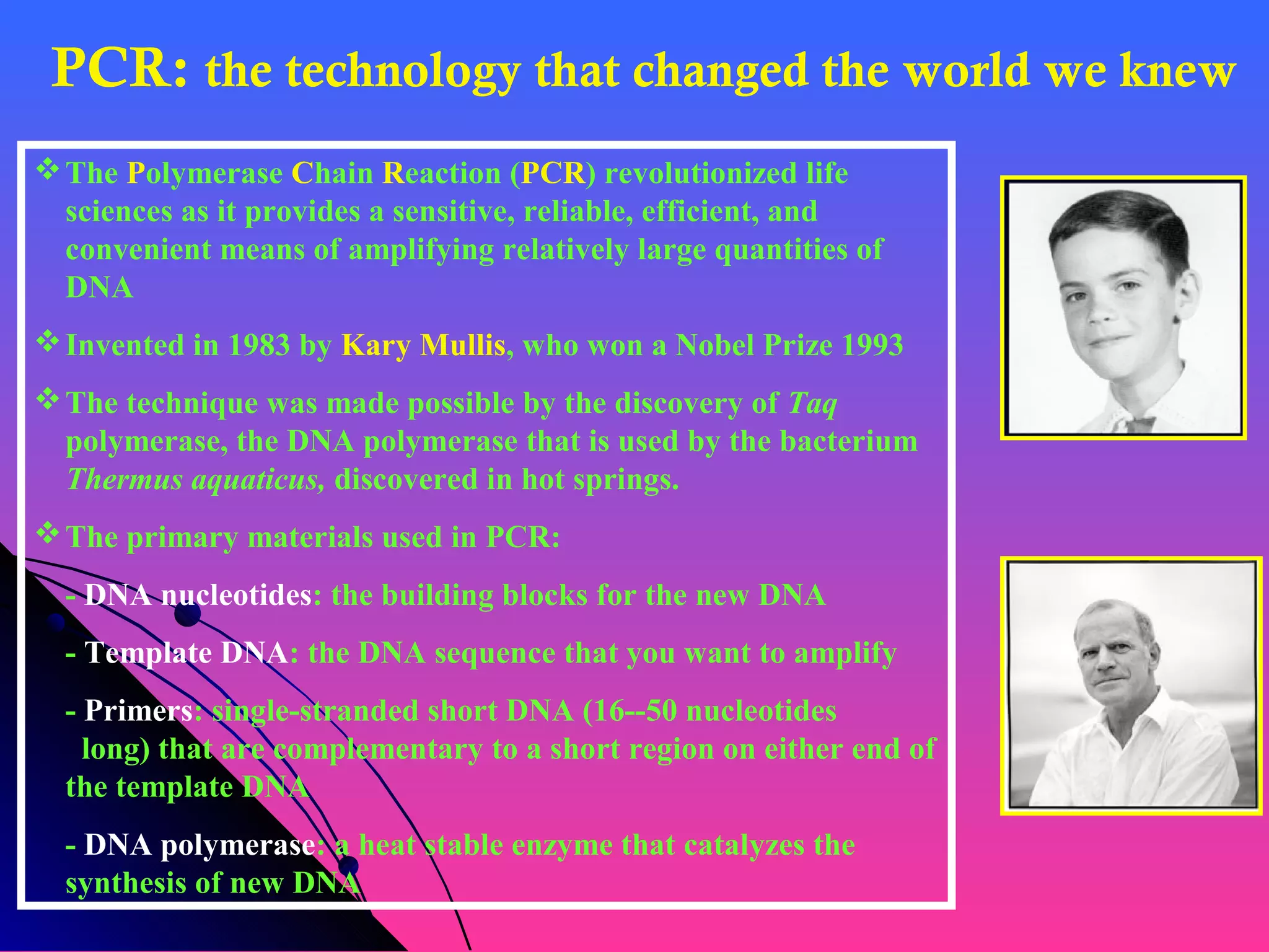 PCR DNA PRIMER | PPT
