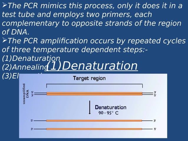 pcr_project_class12 (1)_biology,zoology.pdf | Biological Sciences | Science