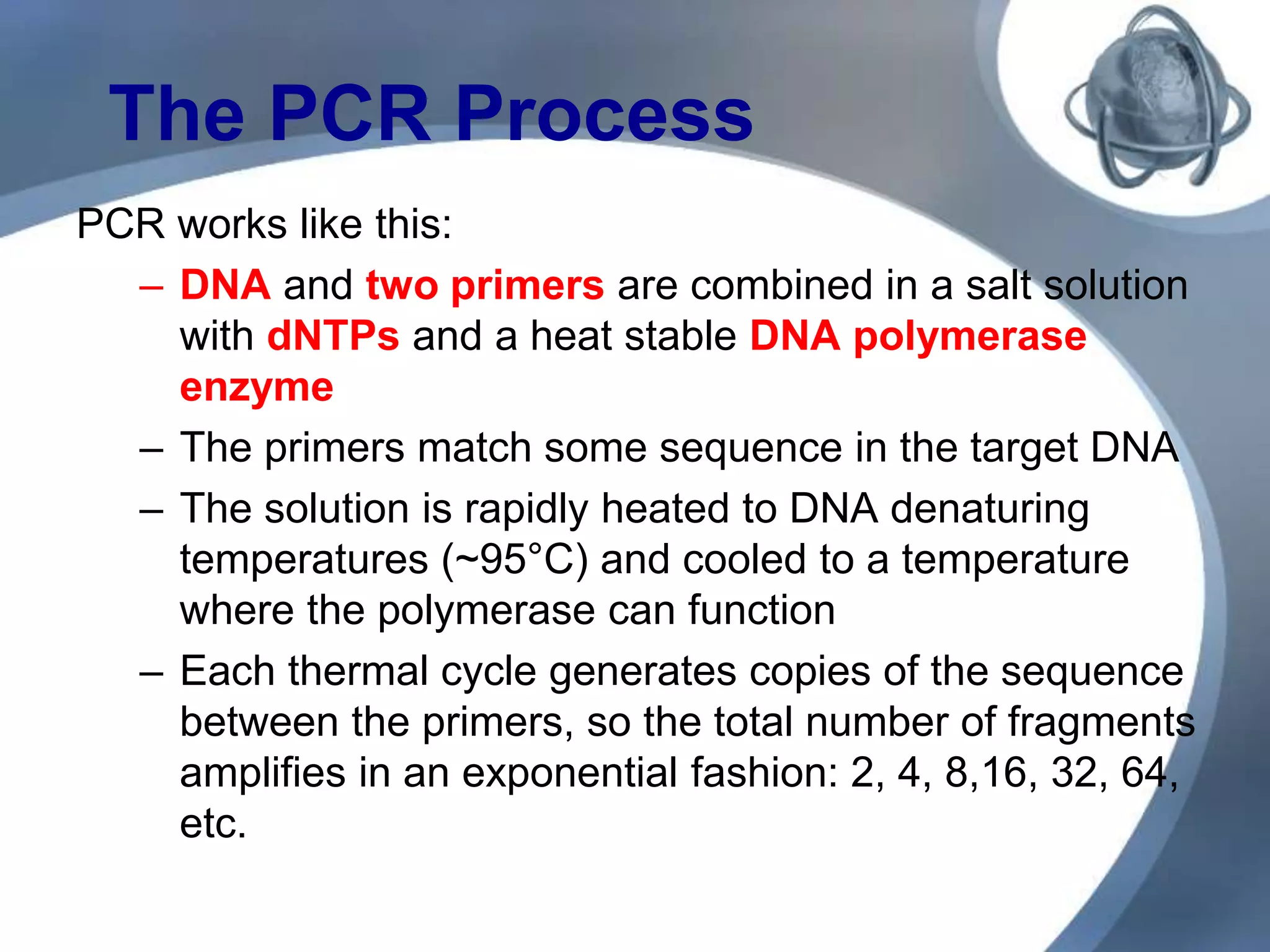Pcr, rapd dan rflp | PPTX