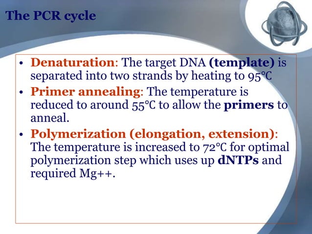 Pcr, rapd dan rflp | PPTX | Chemistry | Science