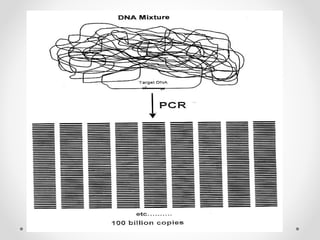 Pcr & Real time pcr | PPT