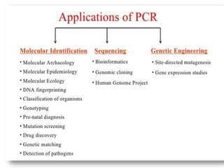 PCR and RT PCR.pptx