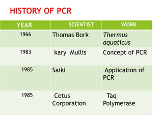 PCR and RT PCR.pptx | Free Download