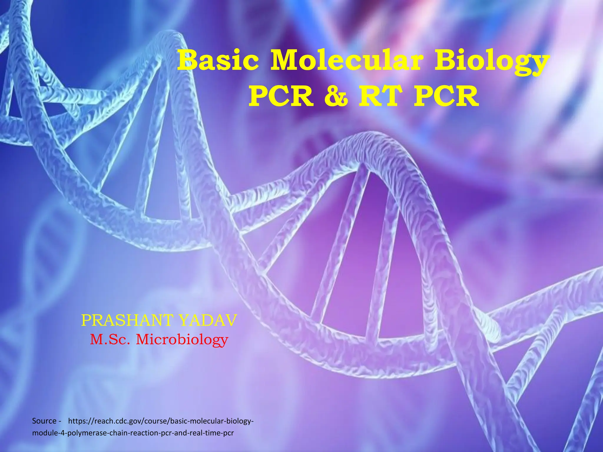 PCR & RT PCR . | PPT