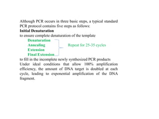 PCR & RT PCR . | PDF