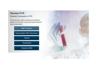 PCR & RT PCR . | PDF
