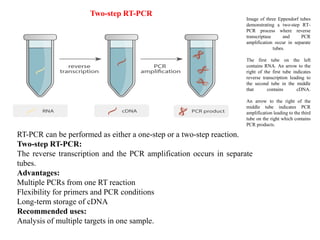 PCR & RT PCR . | PDF