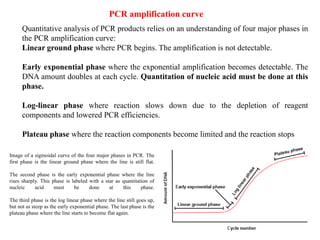 PCR & RT PCR . | PDF