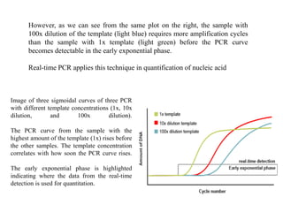 PCR & RT PCR . | PDF