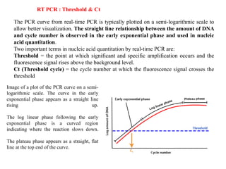 PCR & RT PCR . | PDF