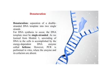 PCR & RT PCR . | PDF