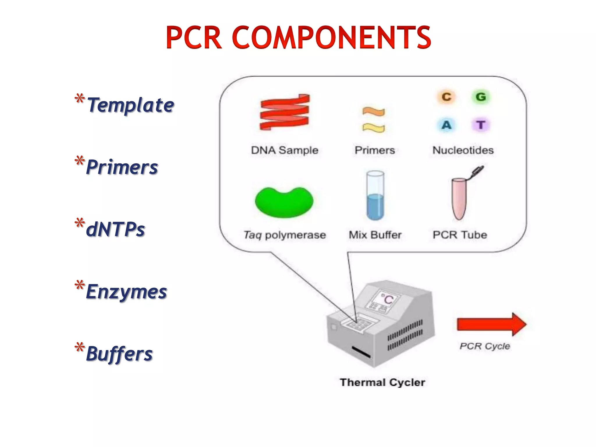 Polymerase Chain Reaction - PCR | PPTX