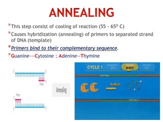 Polymerase Chain Reaction - PCR | PPTX