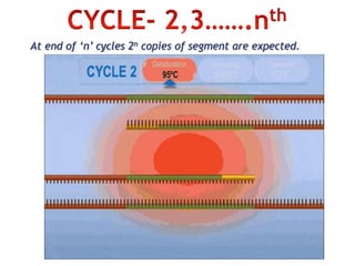 Polymerase Chain Reaction - PCR | PPTX