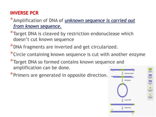 Polymerase Chain Reaction - PCR | PPT