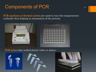 PCR, RT-PCR and qPCR | PPTX