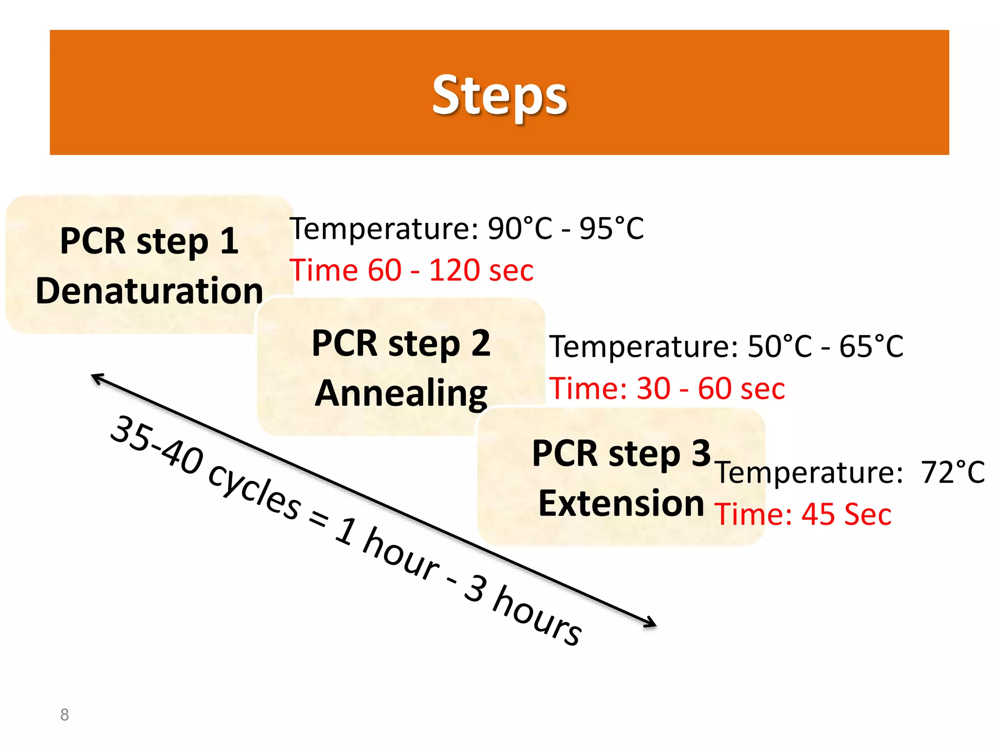 Pcr section amany_elshamy | PPTX