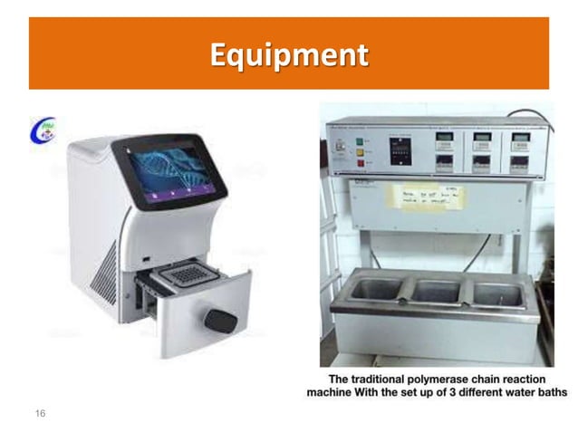 Pcr section amany_elshamy | PPT