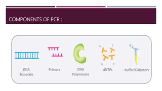 Pcr SlideShare.pptx