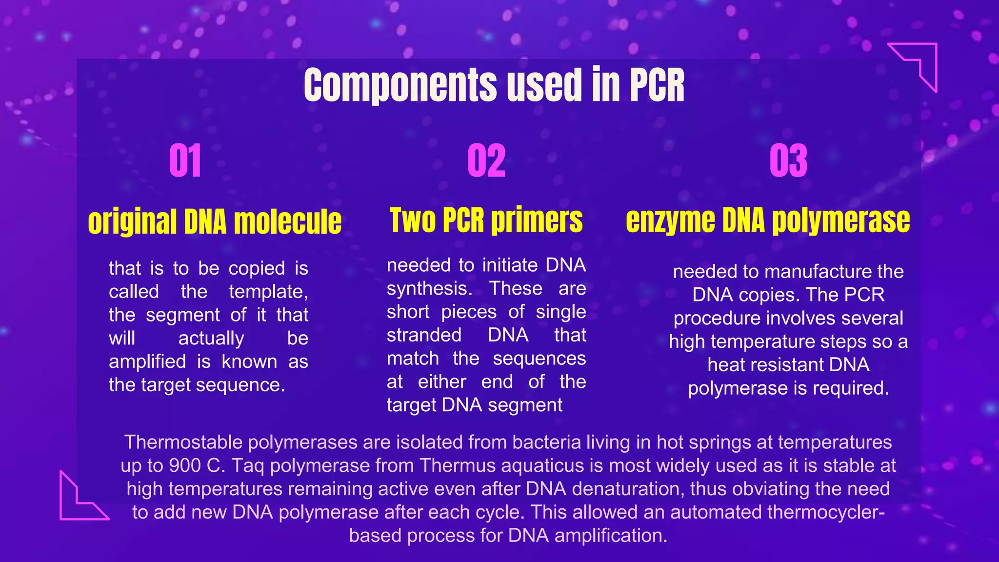 PCR - Polymerase Chain Reaction | PPTX