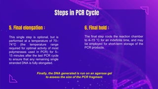 PCR - Polymerase Chain Reaction | PPTX