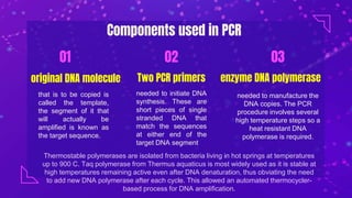 PCR - Polymerase Chain Reaction | PPTX