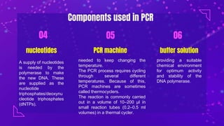 PCR - Polymerase Chain Reaction | PPTX
