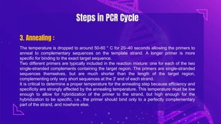 PCR - Polymerase Chain Reaction | PPTX
