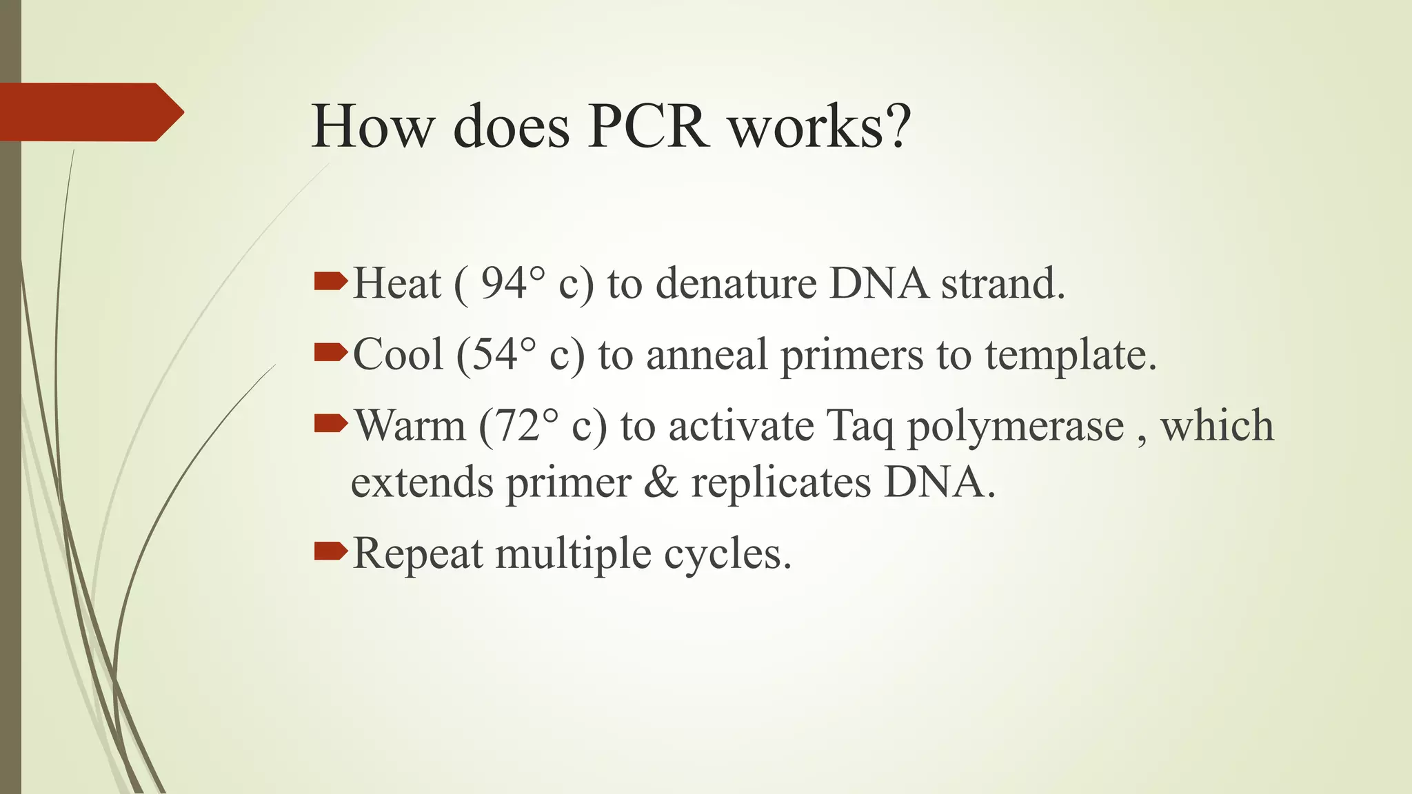 PCR technique.pptx