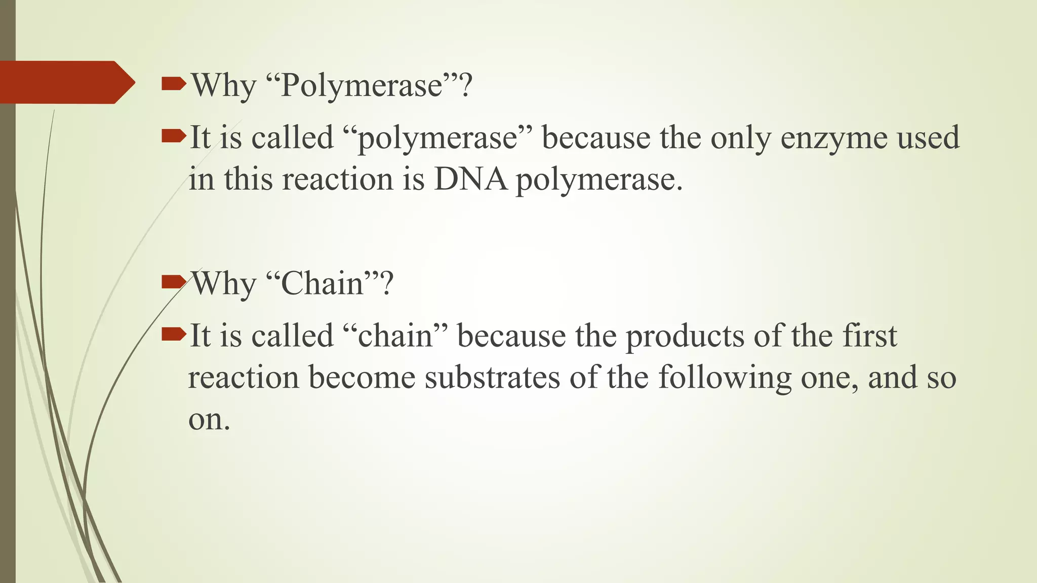 PCR technique.pptx