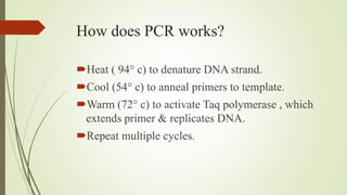 PCR technique.pptx
