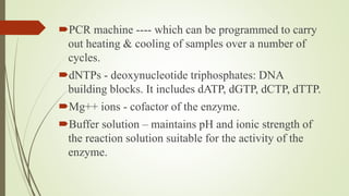 PCR technique.pptx