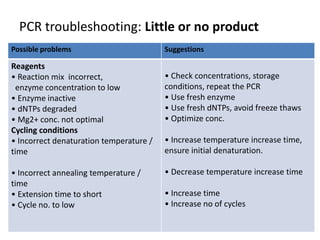Pcr troubleshooting presentation | PPTX | Chemistry | Science