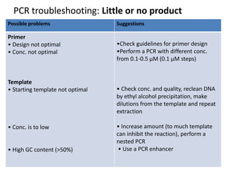 Pcr troubleshooting presentation | PPTX | Chemistry | Science