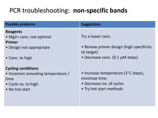 Pcr troubleshooting presentation | PPTX | Chemistry | Science