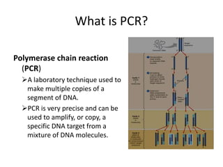 Pcr troubleshooting presentation | PPTX | Chemistry | Science