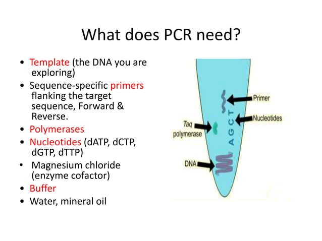 Pcr troubleshooting presentation | PPTX | Chemistry | Science