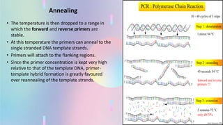 Polymerase chain reaction | PPTX