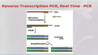 pcr types.pptx