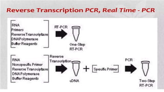 pcr types.pptx