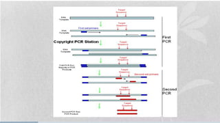 pcr types.pptx