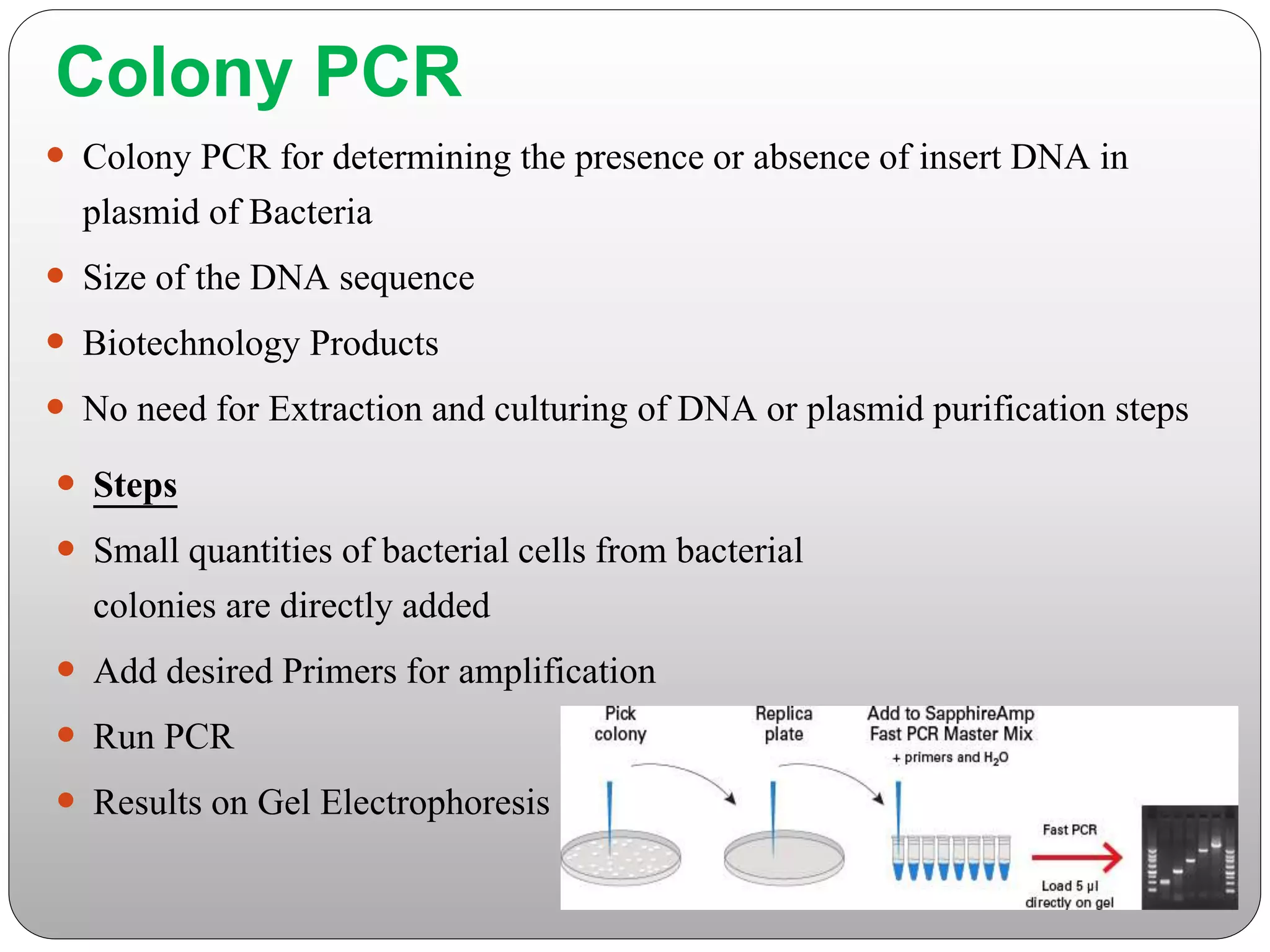 PCR types.pdf