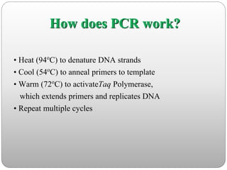 PCR types.pdf