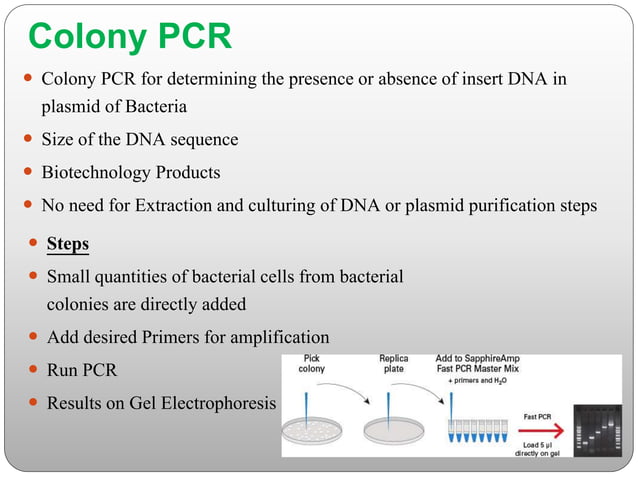 PCR types.pdf | Chemistry | Science