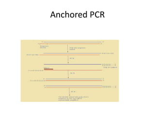 pcr types.pptx