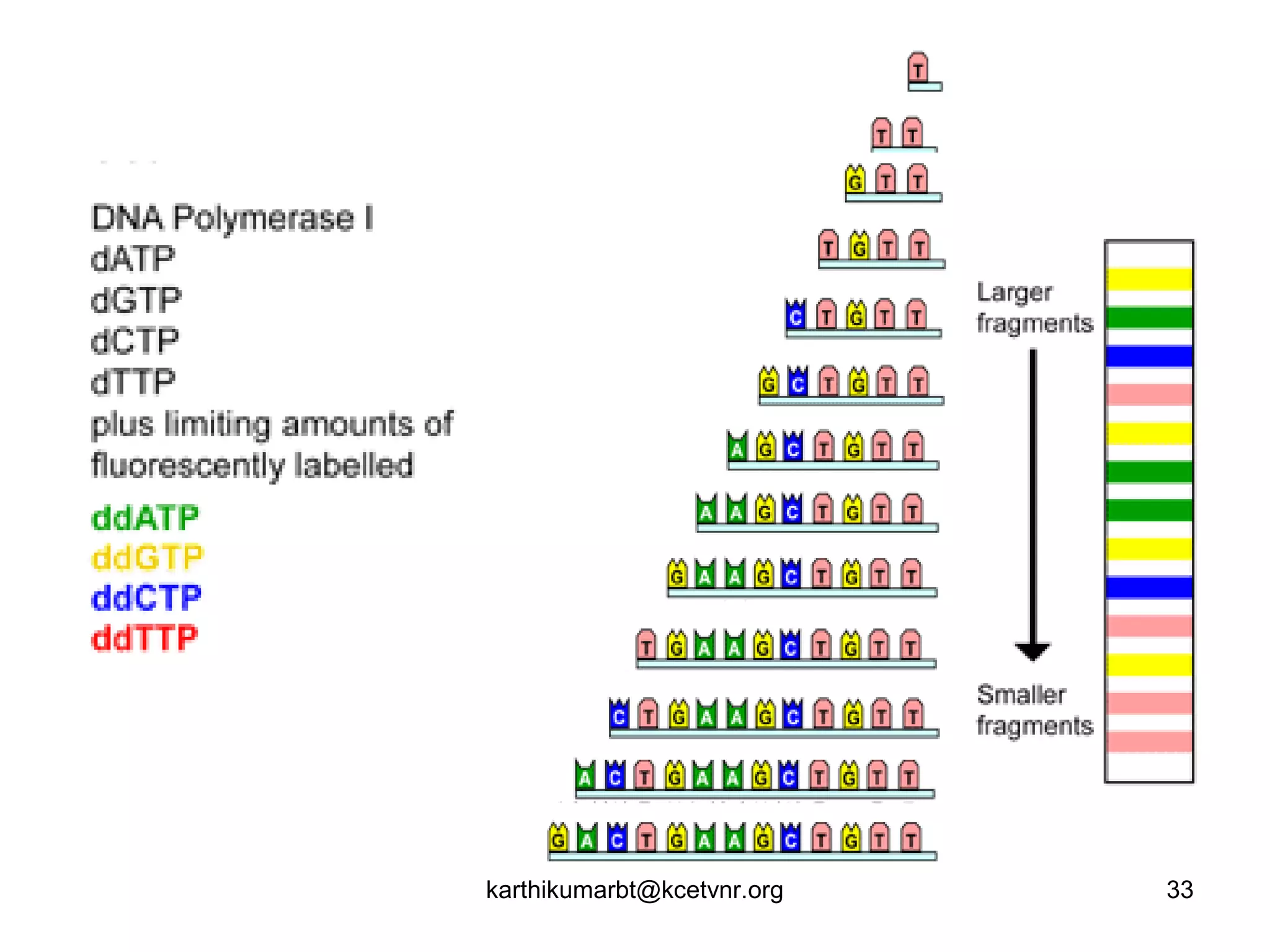 PCR types and applications | PPT