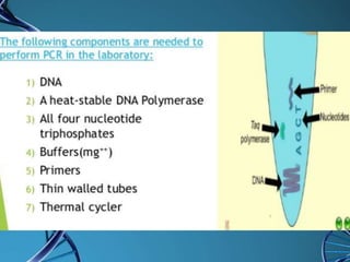 PCR un.ppt