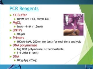 PCR un.ppt