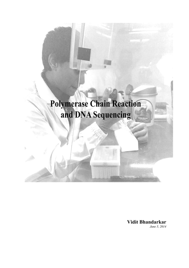 Polymerase Chain Reaction Report | PDF